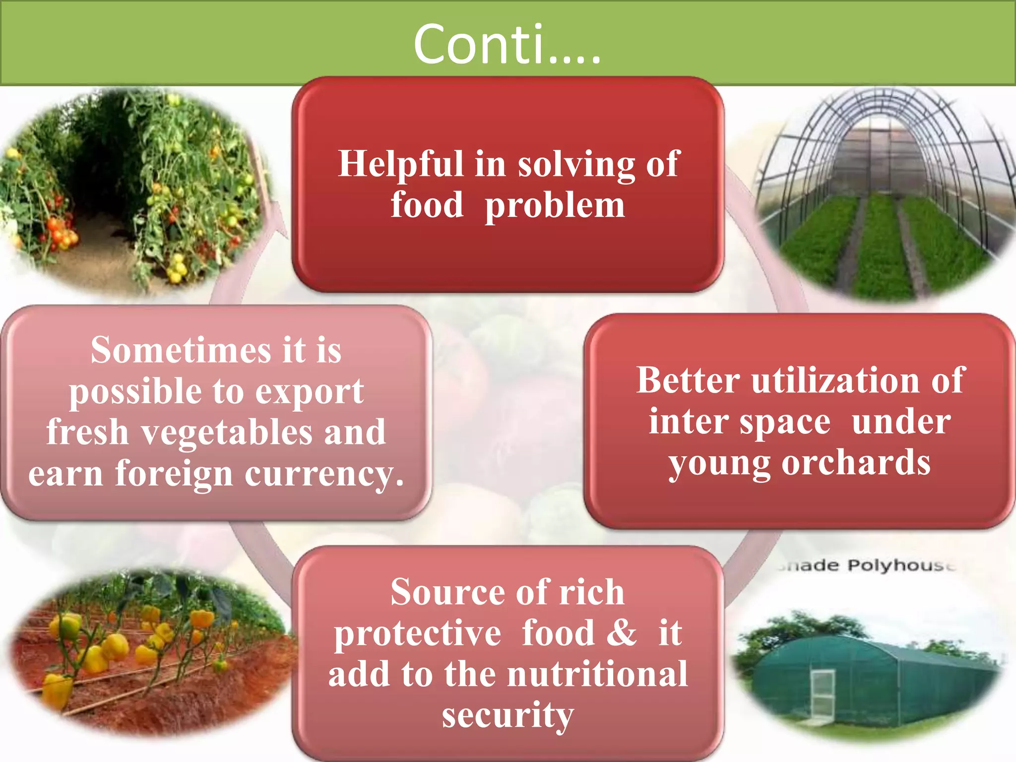 off season vegetable production | PPTX