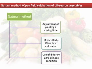 off season vegetable production | PPTX