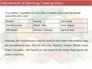 off season vegetable production | PPTX