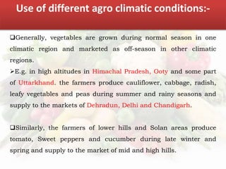 off season vegetable production | PPTX