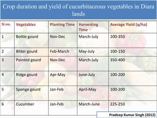 off season vegetable production | PPTX