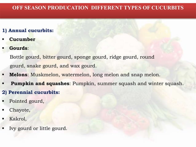 off season vegetable production | PPTX