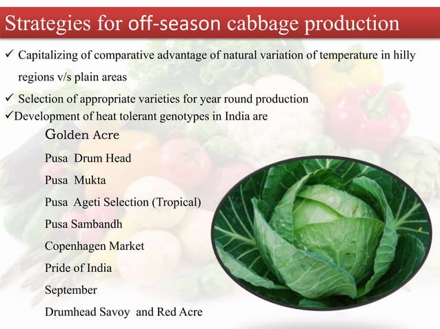 off season vegetable production | PPTX