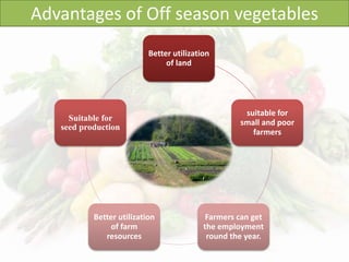 off season vegetable production | PPTX