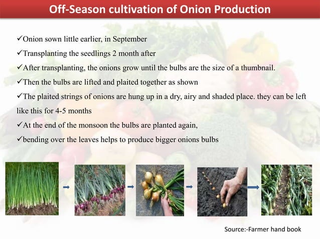 off season vegetable production | PPTX
