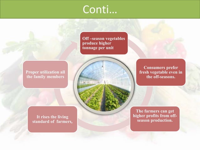 off season vegetable production | PPTX