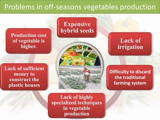 off season vegetable production | PPTX