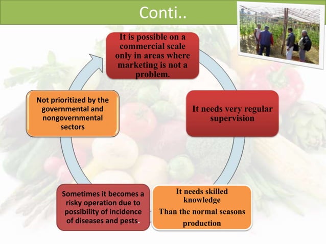 off season vegetable production | PPTX