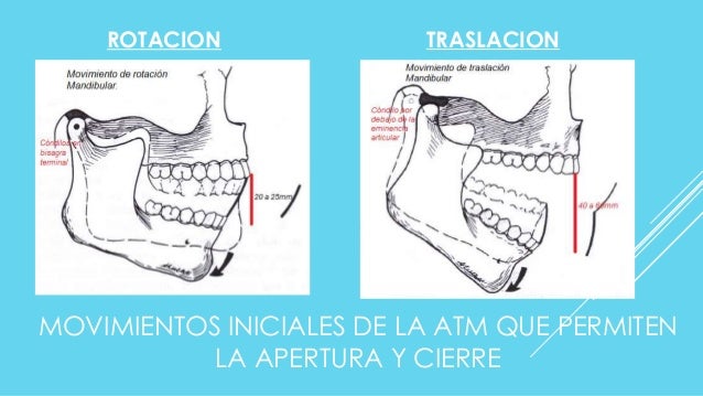 Articulacion Temporomandibular ATM