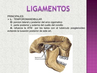 Articulacion Temporomandibuar | PPTX
