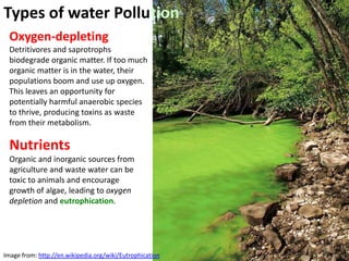 Oxygen Depletion Pollution