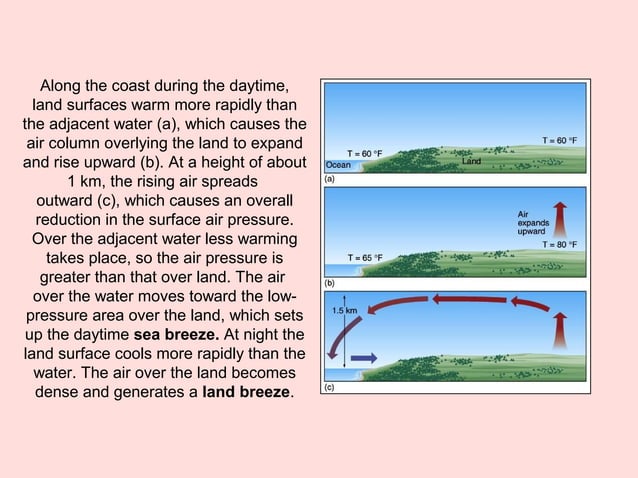 Atmospheric circulation-Climatology Chapter | PPT | Polar Travel ...