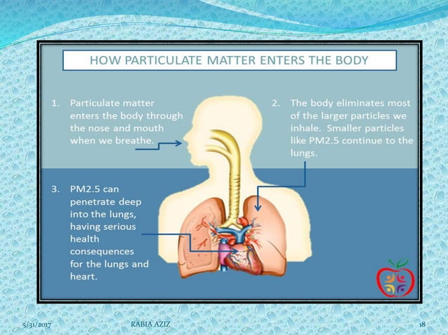 Atmospheric particulate matter | PPTX | Lung and Respiratory Health ...