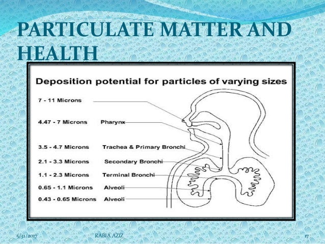 Atmospheric Particulate Matter
