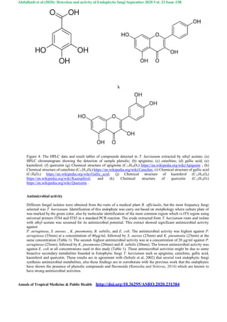 Molecular detection and antimicrobial activity of Endophytic fungi ...