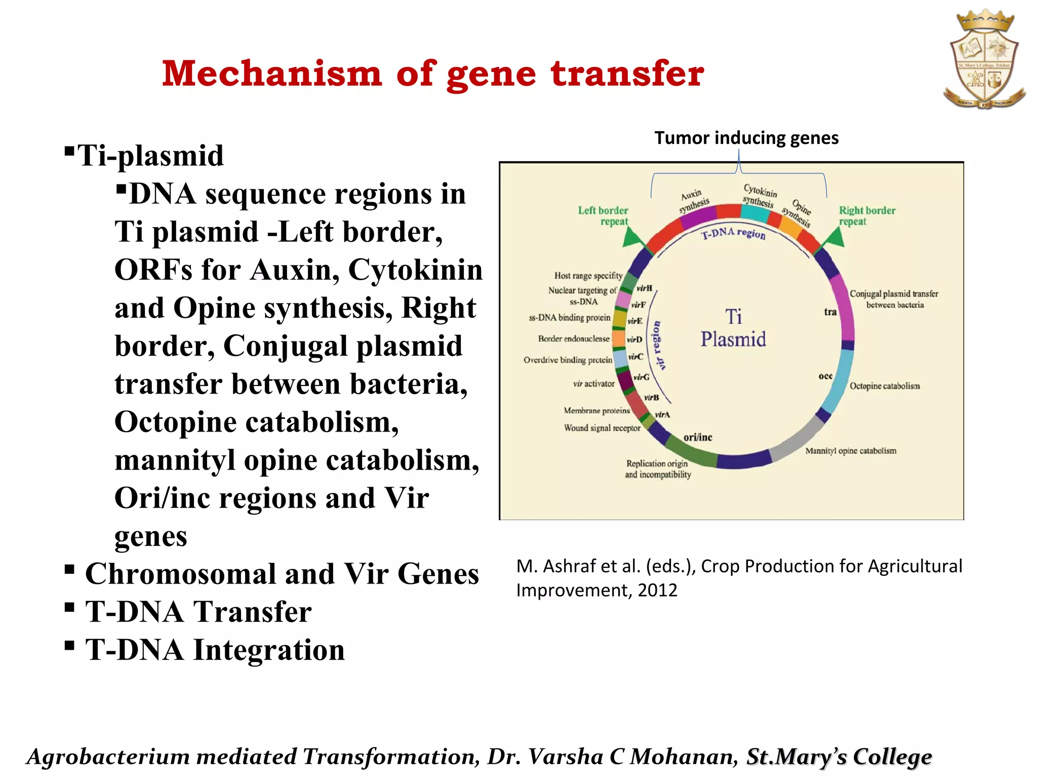 Biotechnology:Agrobacterium mediated Transformation | PPT