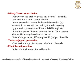 Biotechnology:Agrobacterium mediated Transformation | PPT | Biotech and ...