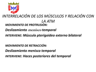 Articulación Temporomandibular (ATM) UJAP | PDF