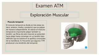 ATM (articulación temporomandibular) llenado de historia | PPTX