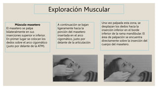 ATM (articulación temporomandibular) llenado de historia | PPTX