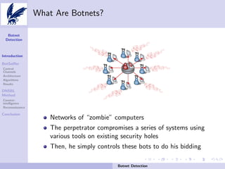 A Brief Incursion into Botnet Detection | PPT