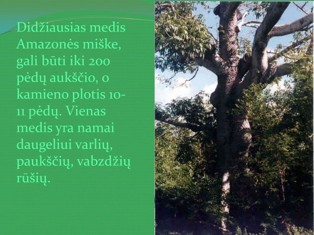 Atograzu miskai | PPT | Free Download