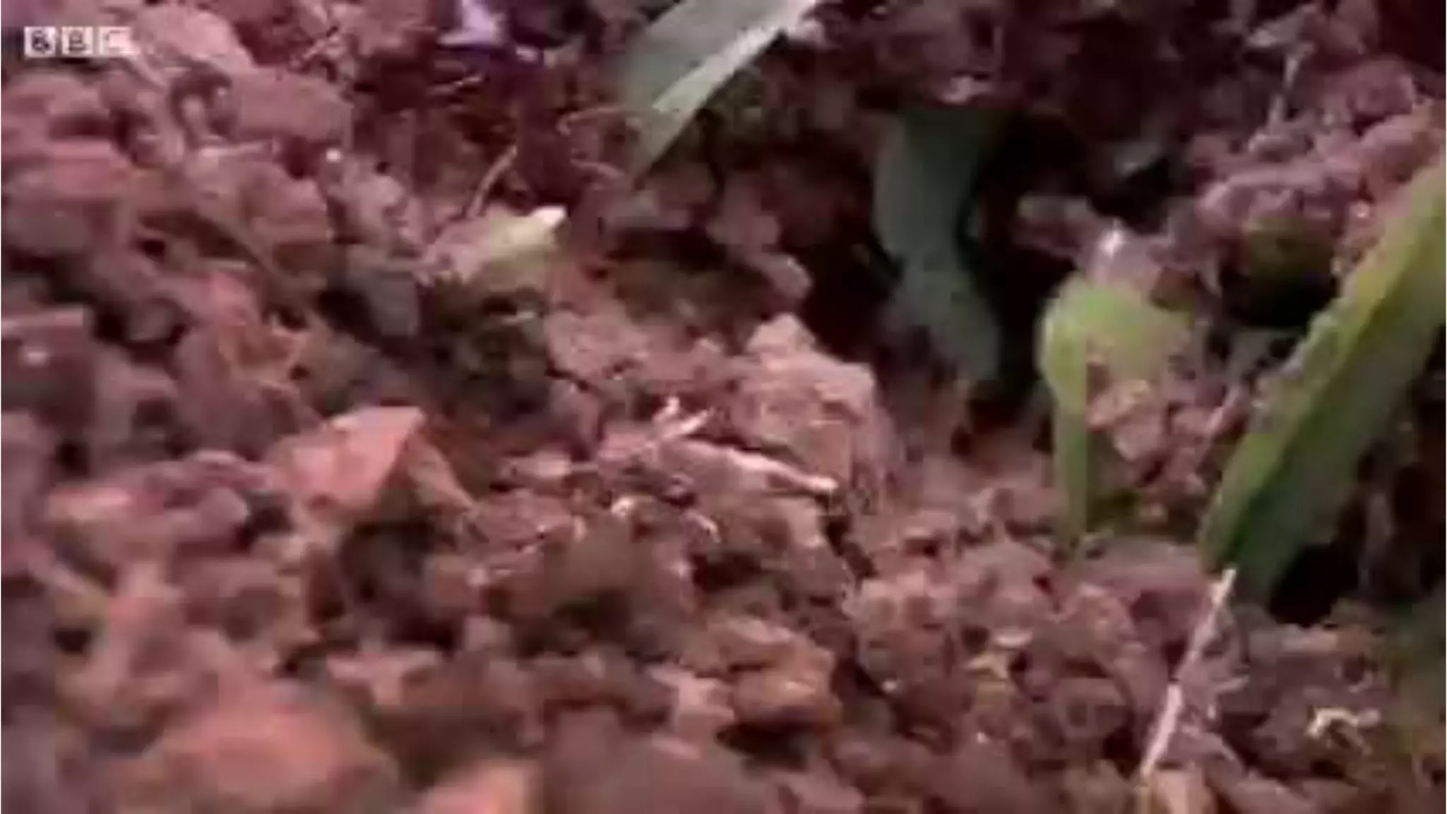 atom structure 5e lesson plan | PPT