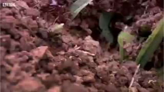 atom structure 5e lesson plan | PPT