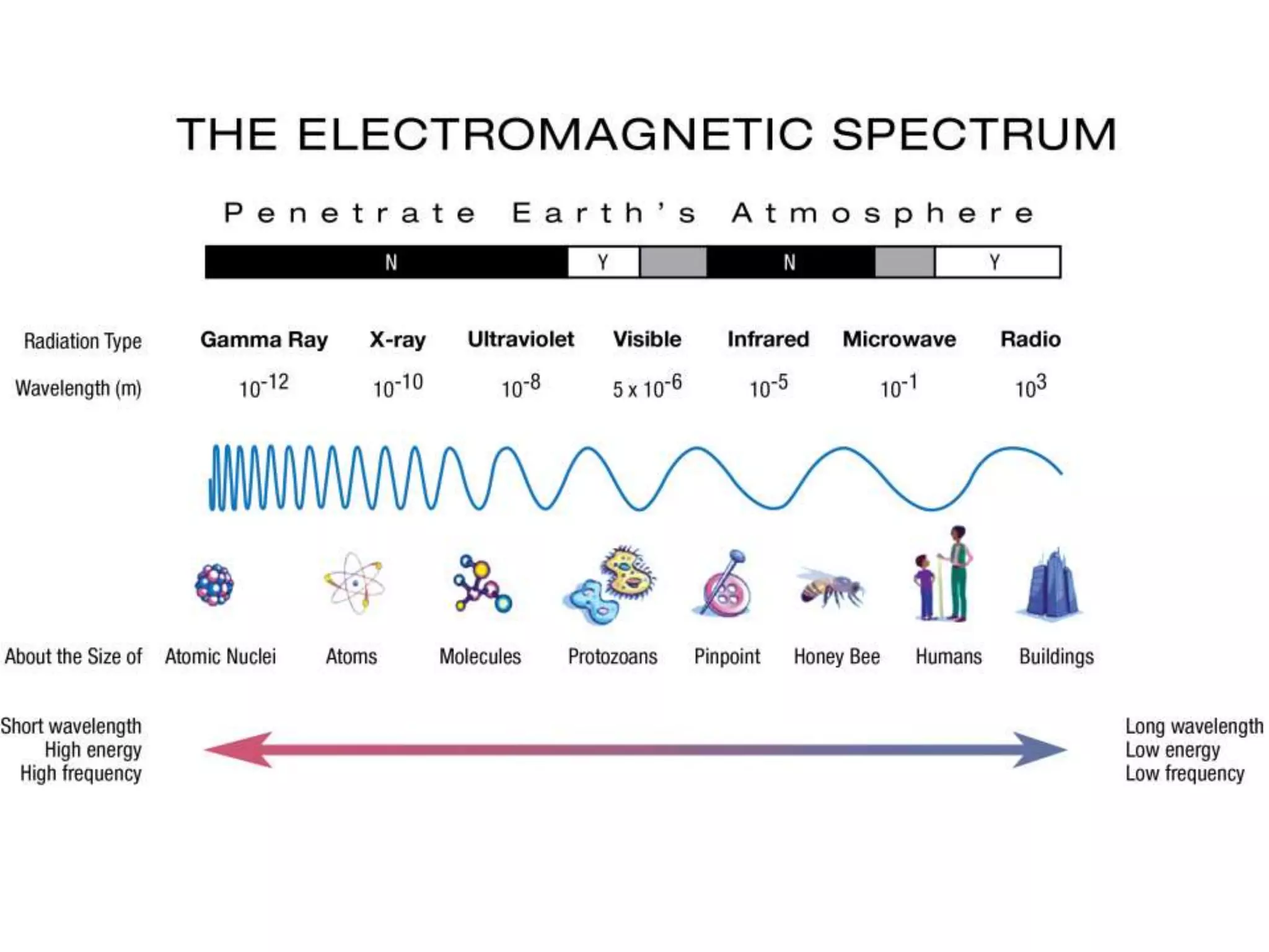 Atomic Absorption Spectroscopy, Principles and Applications.pptx