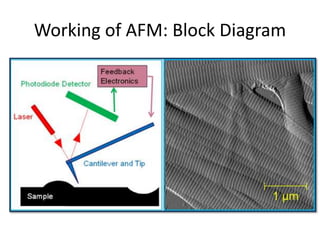 Atomic Force Microscope: Fundamental Principles | PPTX