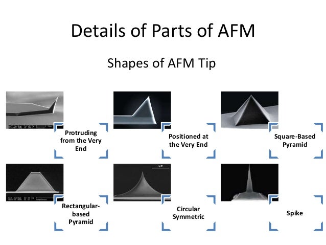 Atomic Force Microscope: Fundamental Principles