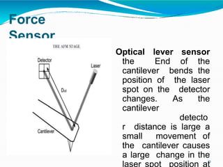 atomicforcemicroscopy-150320212250-conversion-gate01 (1).pptx