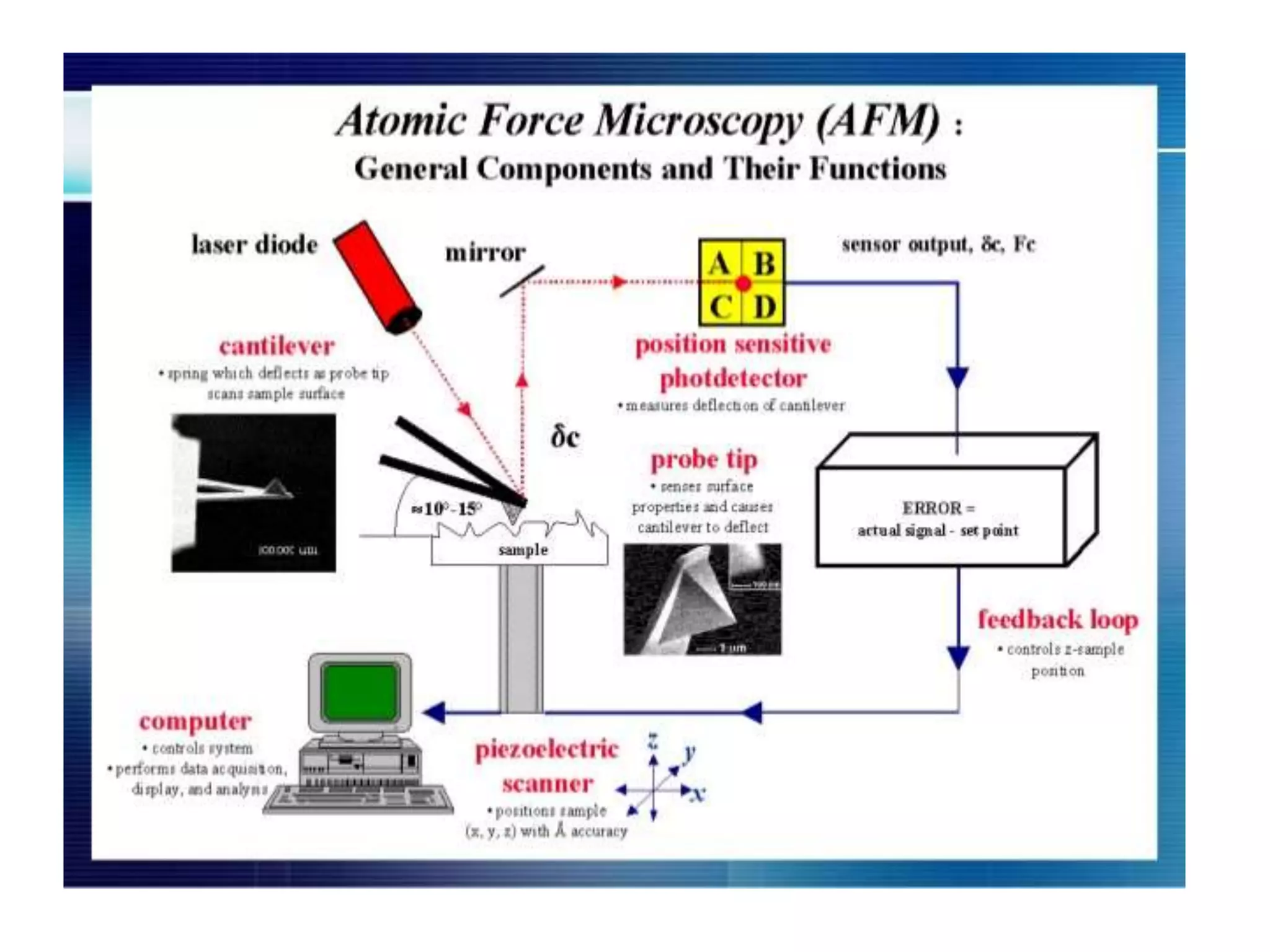 Atomic force microscopy | PPT
