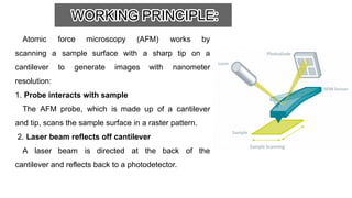 General Microbiology and Microbial diversity - Atomic Force Microscopy (AFM) | PDF