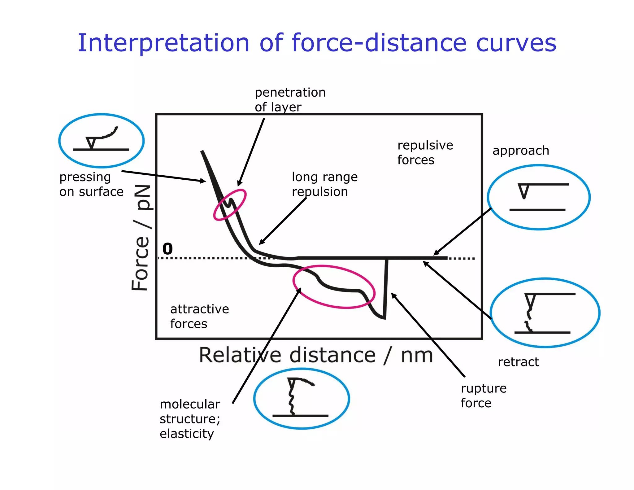 Atomic force microscopy(afm) | PDF