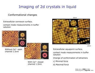 Atomic force microscopy(afm) | PDF | Chemistry | Science