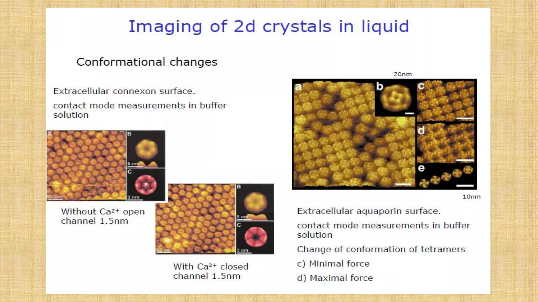 Introduction And Applications Of Atomic Force Microscopy Ppt