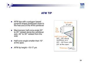 Comprehensive Overview of Atomic Force Microscopy: Principles ...
