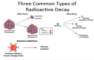 Atomic nucleus and radioactivity | PPT