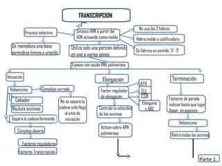 Atomo - Moleculas - ADN - ARN | PPT