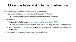 Atopic dermatitis | PPTX