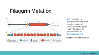 atopicdermatitis-190308055304 (1).pdf