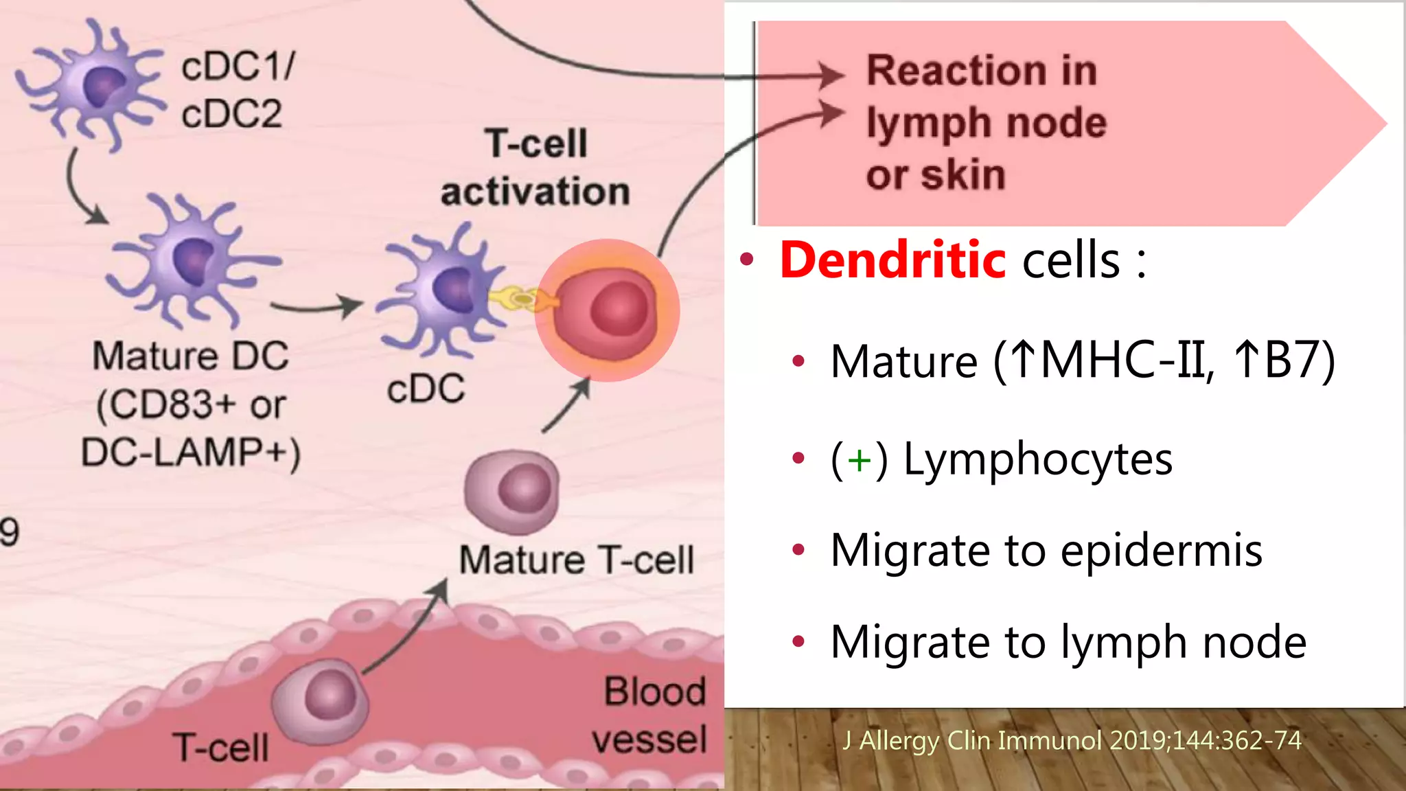 Atopic dermatitis cytokines and inflammation. Prof. Dr. Ortega Martell ...