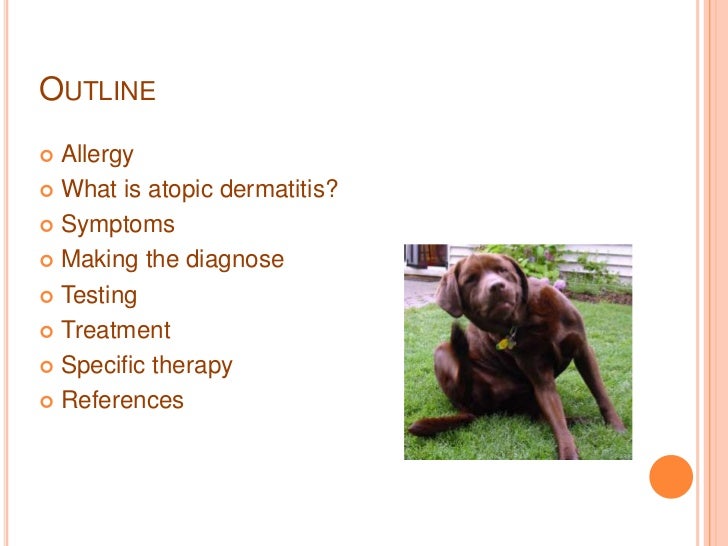 Atopic dermatitis in the dog