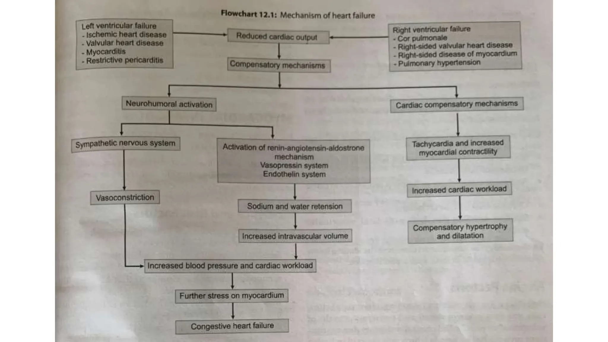 Pathophysiology of Heart Failure - Pathology - ATOT | PPTX