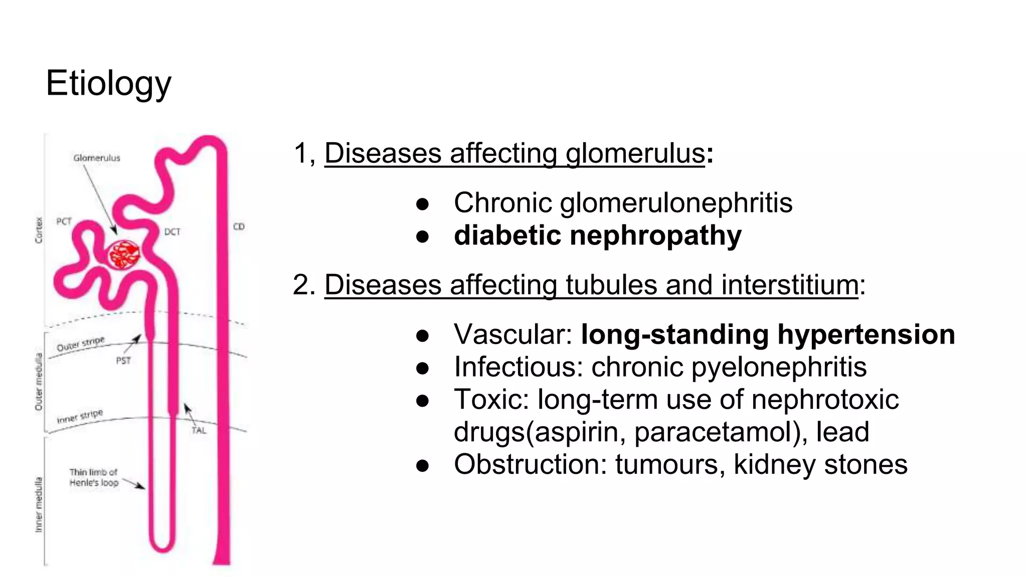 Acute renal failure, chronic renal failure - Pathology - ATOT | PPTX
