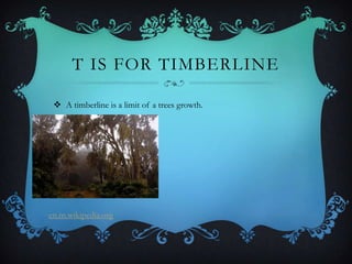 A to Z words and definition in geography | PPTX