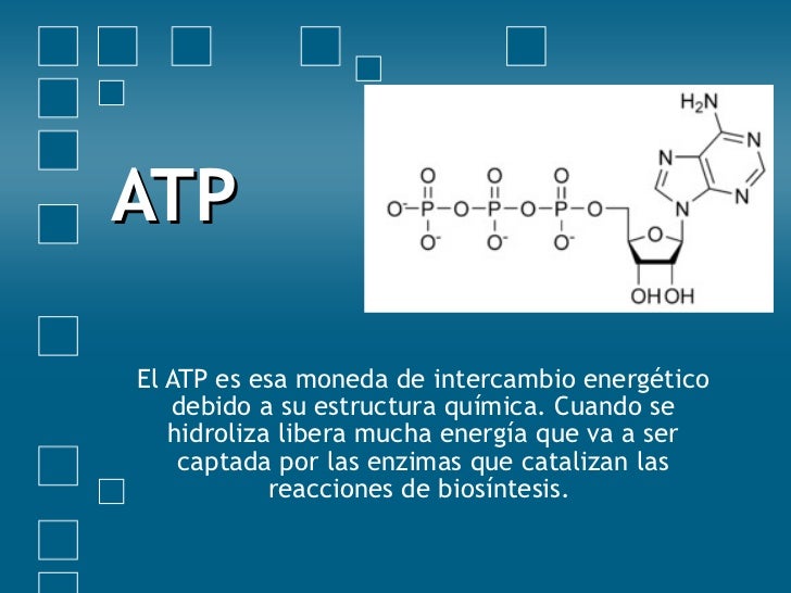 Que Es El Atp - abstractor