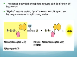 Atp | PPT