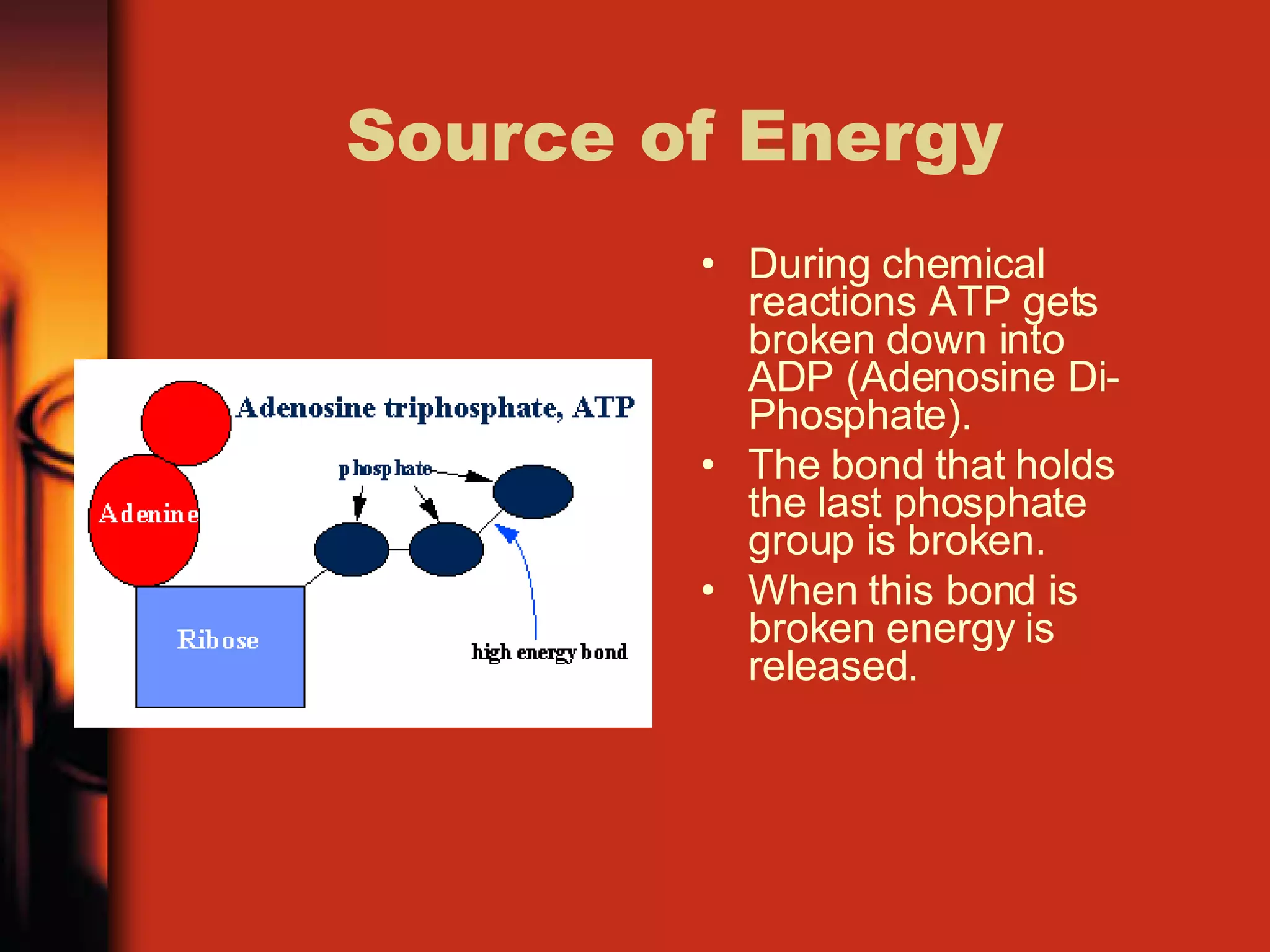 ATP | PPT